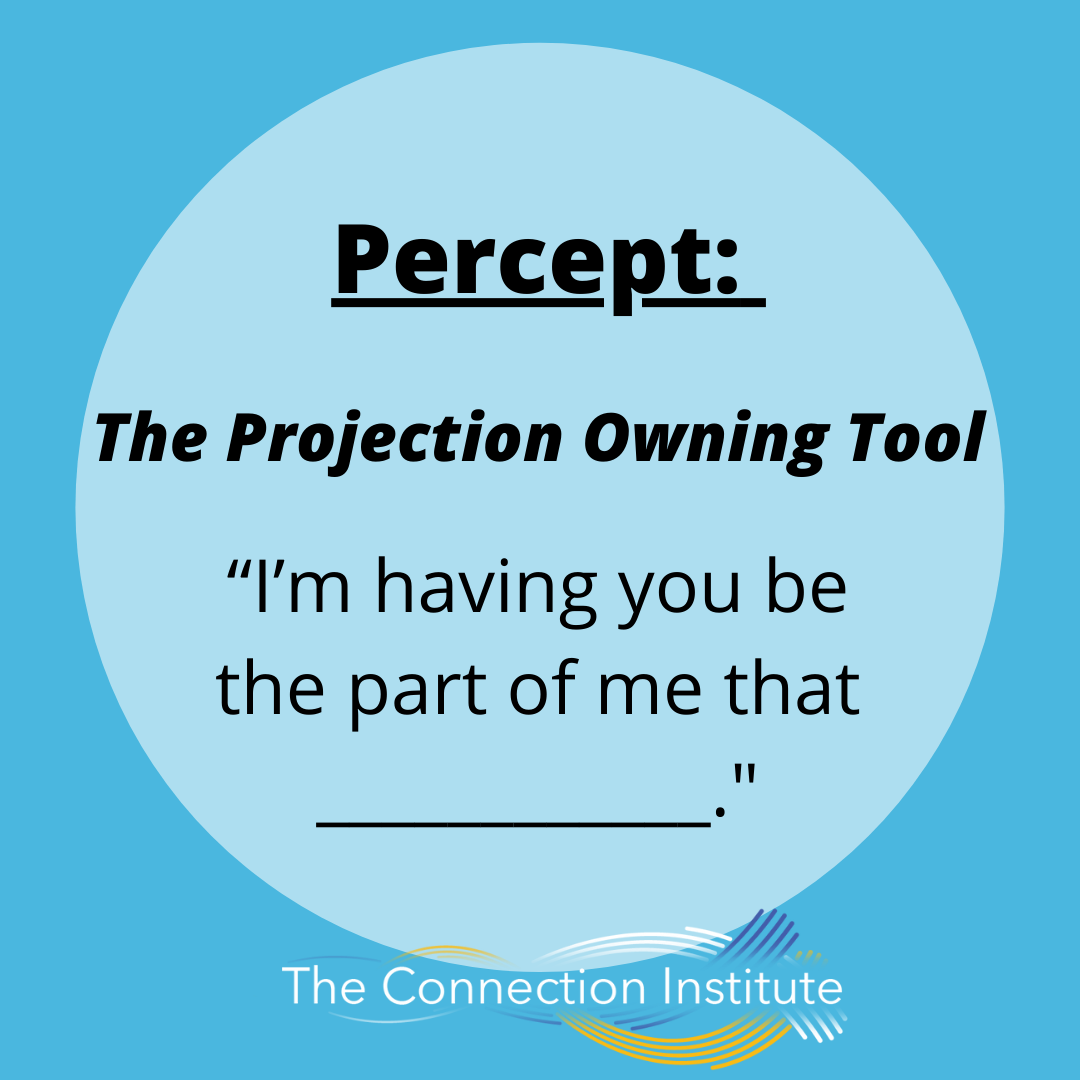 The Mirror Projection Theory - The Connection Institute